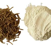 China Raw Material - Mealworm Powdered Dried Mealworms for B2B for sale