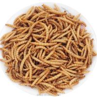 China Mealworm-based Worm Meal - High in Protein 57% and Low in Fat 25% for sale