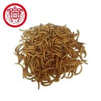 China Sustainably Sourced Worm Meal with 57% Protein Shelf Life 1 Year for sale