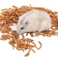 China Quality Assured Non-Admixture Perfect Protein Supplement for Animal Feed for sale
