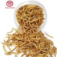 China High Nutritional Value Mealworm Oil for Pet Food - Shelf Life 2 Years for sale