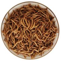 China Chitin-Enriched Mealworm Powder Protein Content Around 51% Raw Material Mealworm for sale