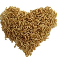 China Wholesale Nutrition Food Small Pet Snacks Dried Mealworm For Hamster Rabbit for sale