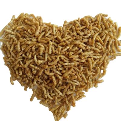 China Wholesale Nutrition Food Small Pet Snacks Dried Mealworm For Hamster Rabbit for sale