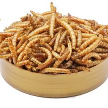 China Feeding Pet with Dried Mealworms from - Dry And Cool Place Storage for sale