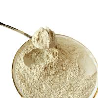 China Fine Powder Texture Protein Supply from Shandong Reliable Source for sale