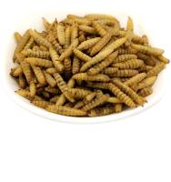 China Quality Dried Black Soldier Fly Insect 3-5cm Originating from for sale