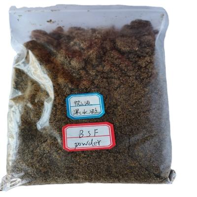 China Yellow Dried BSF Larvae with Guaranteed 1 Year Shelf Life for sale