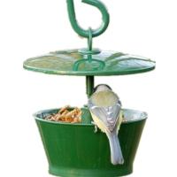 China Feeding Pet with Mealworms Fish Food - Shelf Life 1 Year and Insects for sale