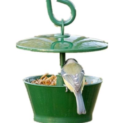China Feeding Pet with Mealworms Fish Food - Shelf Life 1 Year and Insects for sale