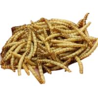 China Sino Crown Dried Mealworms Unbeatable Quality and Dry And Cool Place Storage for sale