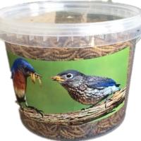 China -Origin Freeze-Dried Mealworms - Made with Quality Ingredients for sale