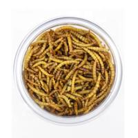China Mealworm-Derived Worm Meal with 25% Fat for Enhanced Fish Growth for sale