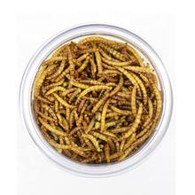 China Mealworms Dried Mealworms for Feeding Pet in Dry and Cool Place for sale