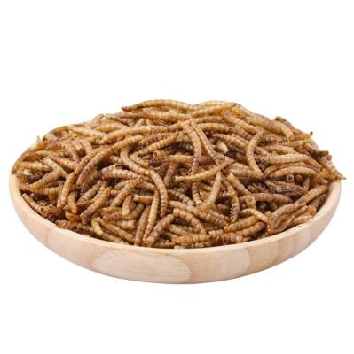 China Original Taste dried Tenebrio molitor/dried mealworms/bread worms for sale