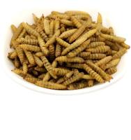 China Widely Available Dried Black Soldier Fly with Dry And Crispy Texture from for sale