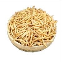 China Sino Crown Mealworms Fish Food - Sustainably Sourced Mealworms Shelf Life 1 Year for sale
