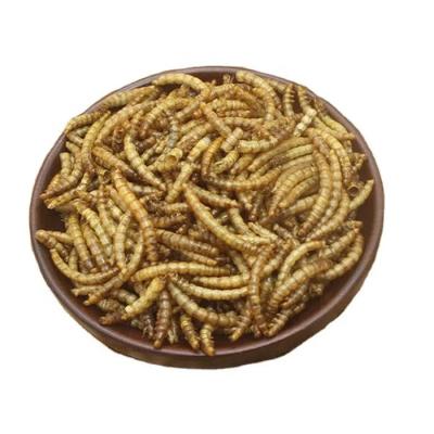 China Discover the Nutritional Benefits of Dried Mealworms with Iron for sale