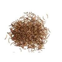 China Factory Wholesales Dried black soldier fly larvae dried BSF larvae Animal Feed for sale