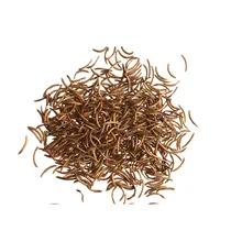 China Factory Wholesales Dried black soldier fly larvae dried BSF larvae Animal Feed for sale
