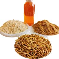 China Factory Minimum Order Quantity High Protein Other Pet Food Dried Mealworms for Animal Feed Additives for sale