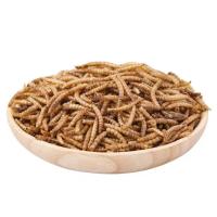 China Mealworm yellow mealworm high protein bird turtle hamster special snack worm dried bird food pigeon food for sale
