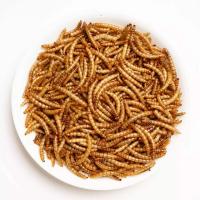 China Dried Mealworms Nutritious Freeze Dried Worms for Feeding Pet for sale