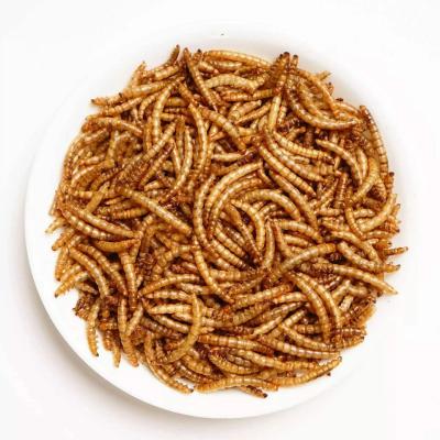 China Dried Mealworms Nutritious Freeze Dried Worms for Feeding Pet for sale