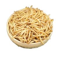 China Elevate Your Business with Freeze Dried Worms - Product Name Dried Mealworms for sale