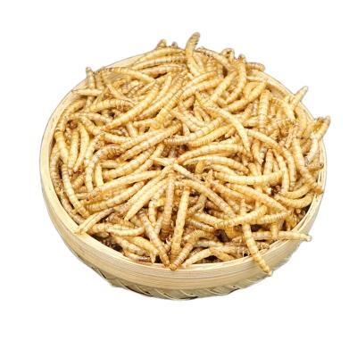 China Elevate Your Business with Freeze Dried Worms - Product Name Dried Mealworms for sale