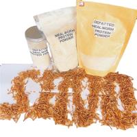 China Premium Dried Mealworms from - A Sustainable Insect Solution for sale