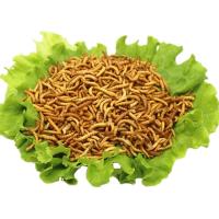 China 100% Natural Dried Live High Nutritious Mealworms for Animal and Bird Feed for sale
