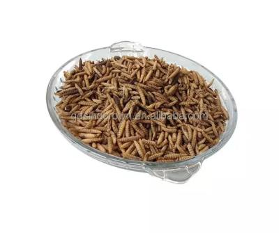 China Cool And Dry Place Mealworm Oil Oil Form Country of Origin - for sale