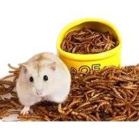 China Experience the Difference with Worm Meal for Dogs Premium Quality for sale