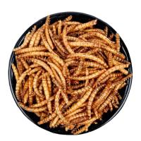 China Feed Additive Worm Meal Powder with 25% Fat for Superior Nutrition for sale