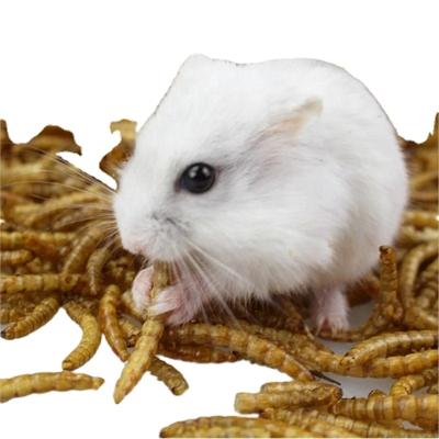 China Highly Effective Worm Meal Powder with Extended Shelf Life for sale