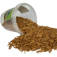 China Widely Available Dried Black Soldier Fly - Store in Cool And Dry Place for sale