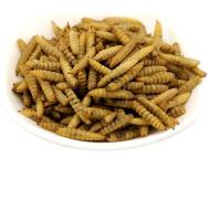 China Dry And Crispy Black Soldier Fly Meal Nourishing Insect Protein Source for sale