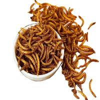 China Mealworm Worm Meal Raw Material in Convenient 8.35kg Packages for sale