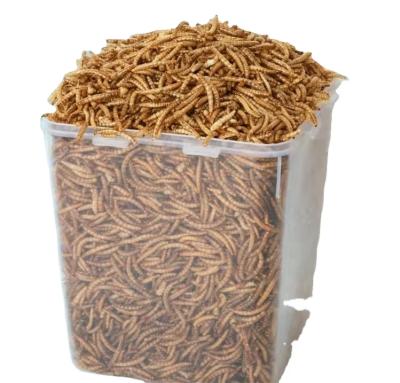 China Mealworm Worm Meal - Excellent Feed Option for B2B Poultry Buyers for sale