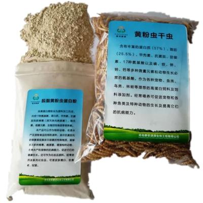 China Feed Grade Pure Defatted Mealworm Protein Powder 8.35kg/bag for Tiens Health Products for sale