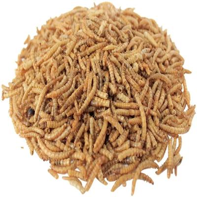 China -Made Yellow Mealworm Oil - Abundant in Nutritional Value for sale