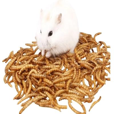 China Oil Form Mealworm Oil High Nutritional Value 2 Year Shelf Life for sale