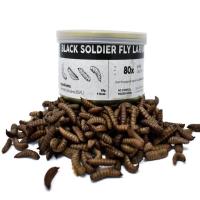China Carton Packaging Dried Black Soldier Fly with Low Fat Nutritional Value for sale