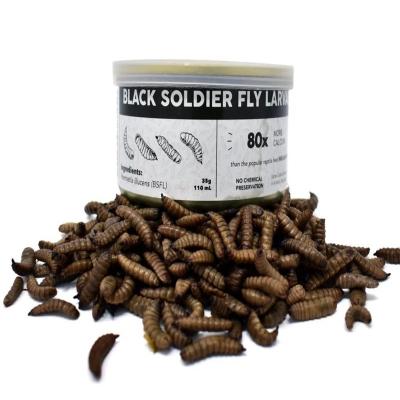 China Carton Packaging Dried Black Soldier Fly with Low Fat Nutritional Value for sale