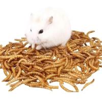 China 57% Protein Worm Meal in Powder Form Essential B2B Ingredient for sale