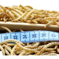 China High Fat Worm Meal with 1 Year Shelf Life - Available in Powder Form for sale