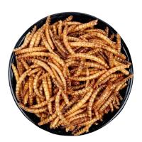 China 100% Pure Whole Dried Mealworms Powder - Bulk Order 8.35kg/bag for sale