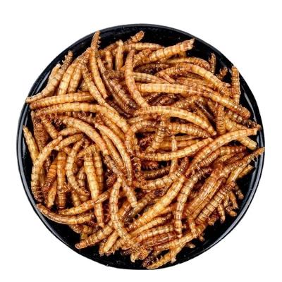 China 100% Pure Whole Dried Mealworms Powder - Bulk Order 8.35kg/bag for sale