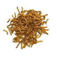 China Provide Essential Nutrition to Amphibians with Worm Meal Package 8.35kg/bag for sale